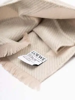 Loewe Scarf - Multicolor