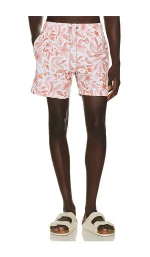 VINTAGE SUMMER 4 Way Stretch Volleys - Orange
