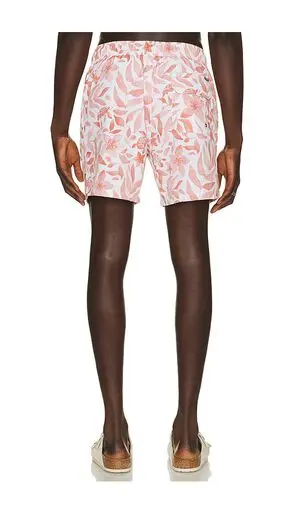 VINTAGE SUMMER 4 Way Stretch Volleys