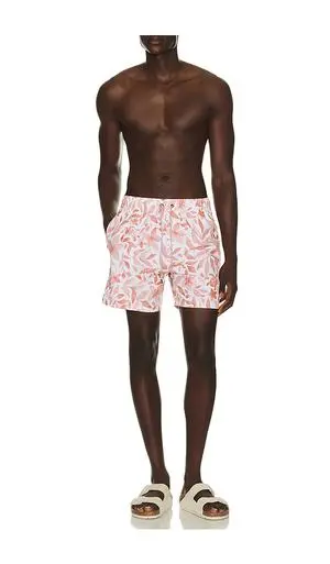 VINTAGE SUMMER 4 Way Stretch Volleys