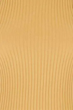 Sportmax Ribbed Knit Sleeveless Top