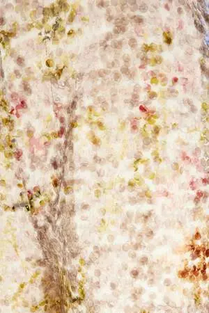 Alberta Ferretti Sequined Floral Trousers