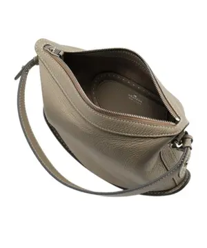 Delvaux Tourterelle Bag