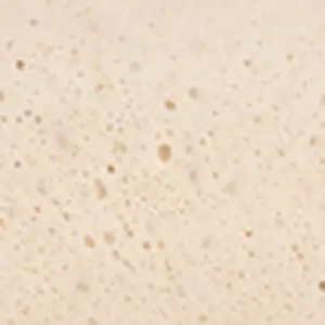 SOURHOUSE Doughbed Sourdough Proofer