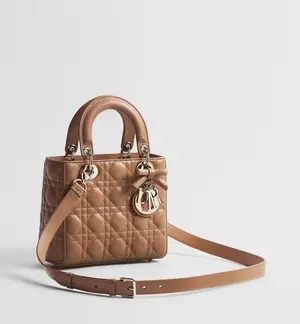 Dior Small Lady Bag With Strap