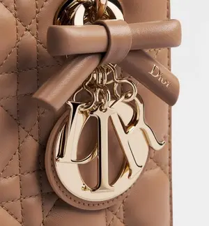 Dior Small Lady Bag With Strap
