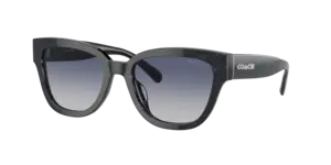COACH Sunglasses Blue Gradient
