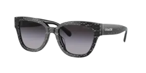 COACH Sunglasses - Grey Gradient