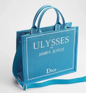 Dior Medium Book Tote With Strap
