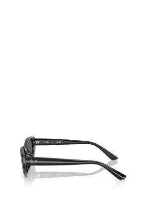 Ray-ban Full Rim Oval Sunglasses