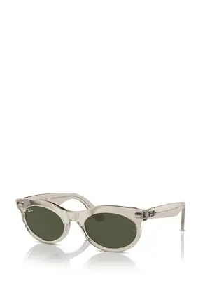 Ray-ban Oval Frame Sunglasses
