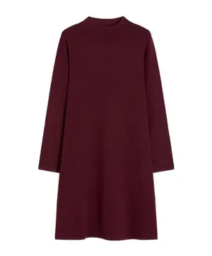 Max Mara Crew Neck Long Sleeve Dress