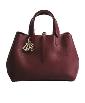 Dior Adjustable Mini Bags