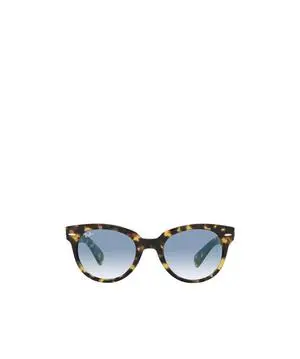 Ray-ban Orion Round Frame Sunglasses