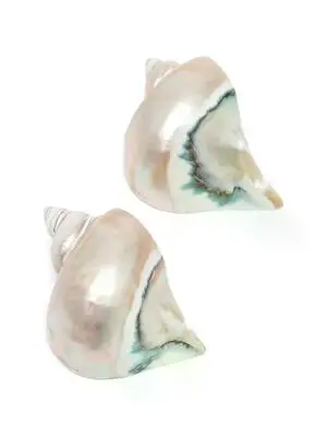 GOHAR WORLD Shell Napkin Rings - Neutrals