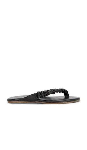 Tkees Savanna Sandal