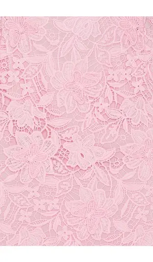 Generation Love 3d Butterfly Lace Dress - Soft Rose