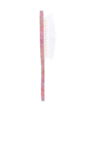 SOLAR ECLIPSE Hand-painted King Charles Cavalier Brush - N,a