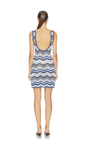 Devon Windsor Alba Crochet Dress