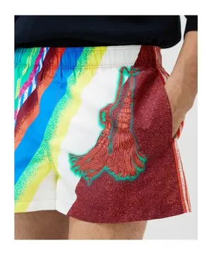 Versace Printed Swim Shorts