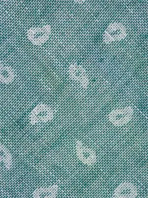 Zegna Paisley Neck Tie