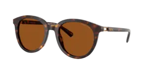 Michael Kors Big Bend Sunglasses - Brown Solid