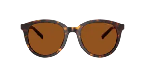 Michael Kors Big Bend Sunglasses - Brown Solid