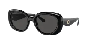 COACH Sunglasses - Grey Solid