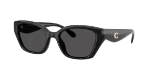 COACH Cat Eye Sunglasses - Grey Solid