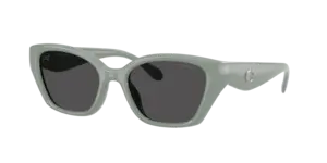 COACH Cat Eye Sunglasses - Grey Solid