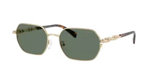 Michael Kors Saint Martin Sunglasses - Green Solid