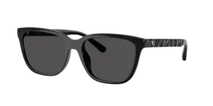 COACH Sunglasses - Grey Solid