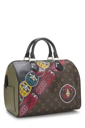 LOUIS VUITTON Monogram Kabuki Speedy Top Handle Bag 30 - Brown