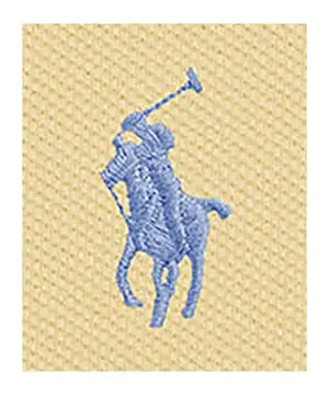 Polo Ralph Lauren Embroidered Mesh Polo Shirt And Shorts Set
