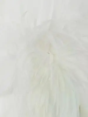 David Koma Cactus Dahlia Feather-embellished Ruched Mini Dress