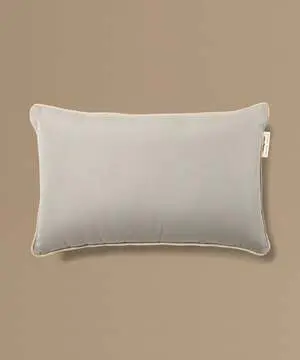 BUSINESS & PLEASURE The Rectangle Throw Pillow Pillow - Fog