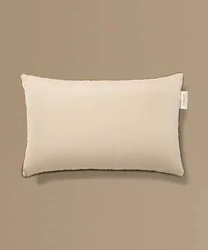BUSINESS & PLEASURE The Rectangle Throw Pillow Pillow - Tan