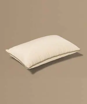 BUSINESS & PLEASURE The Rectangle Throw Pillow Pillow - Tan