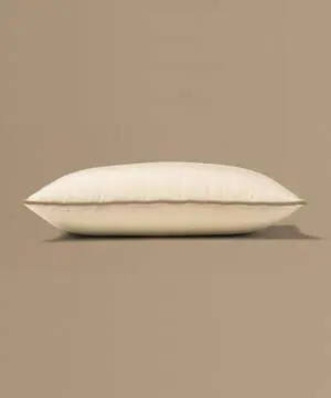 BUSINESS & PLEASURE The Rectangle Throw Pillow Pillow - Tan
