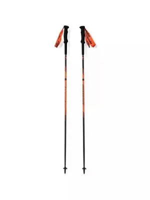 DYNAFIT Foldable Trekking Poles
