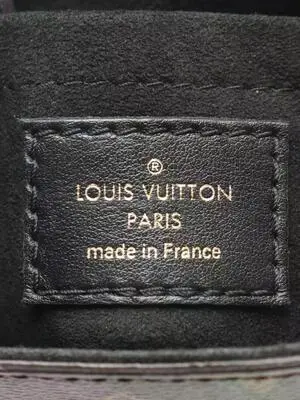 LOUIS VUITTON Monogram Reverse Camera Box Satchel