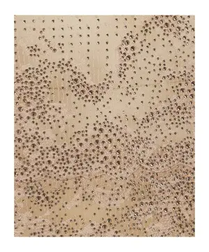 Ermanno Scervino Embellished Lace Vest