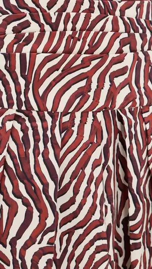 Proenza Schouler White Label Zebra Print Pleated Midi Skirt