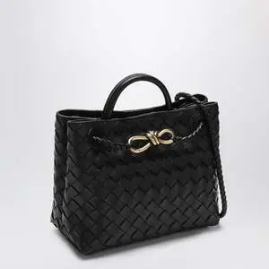 Bottega Veneta Small Andiamo Bag