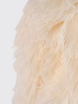 Elisabetta Franchi Tulle And Organza Jacket - White