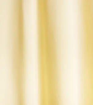 LoveShackFancy Chiffon Maxi Skirt