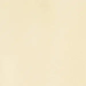 LoveShackFancy Chiffon Maxi Skirt