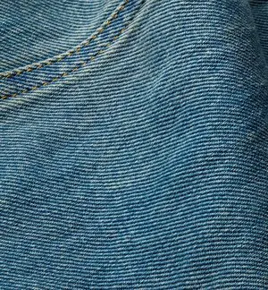 Dior Riviera Flared Jeans