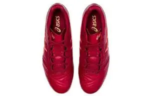 Asics Ultrezza Club Sport Shoes - Red/blue