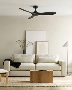 Quince Outdoor Transitional Ceiling Fan, Metal - Black